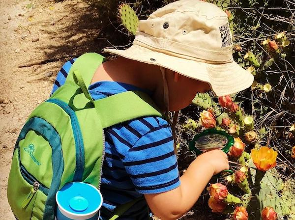 Treks for Tots and Toddlers | Parenting OC