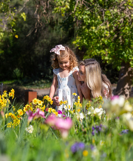 Bloom! | Parenting OC